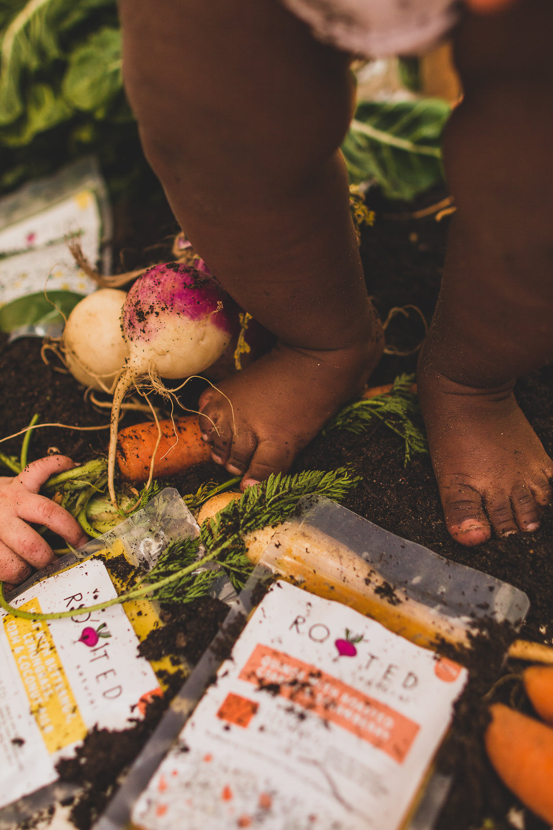 Seasonal Vegetables and Fruit – Rooted Natural