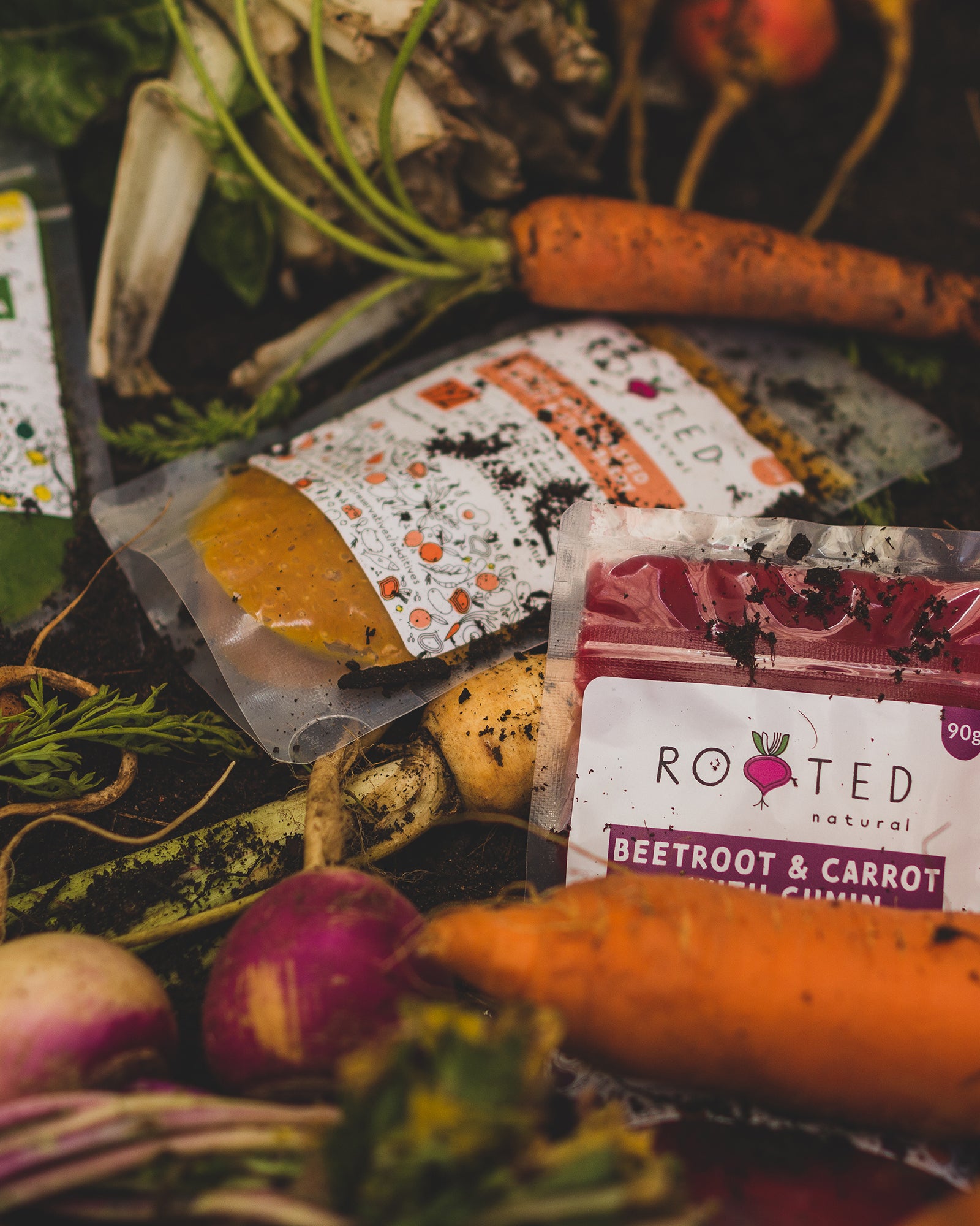 2nd Meal Plan: 2 – The Curious Eater – Rooted Natural